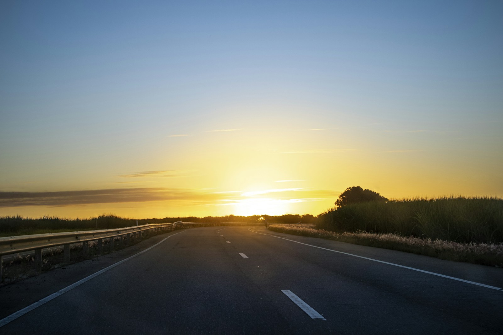 Teen Out-of-State License in CA: Coverage Rules | Parent Teen Insurance